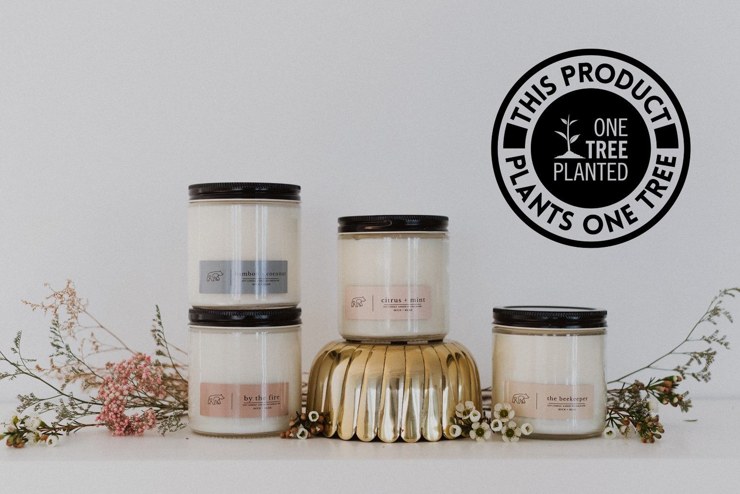 Why I Chose to Plant Trees – wick + bear