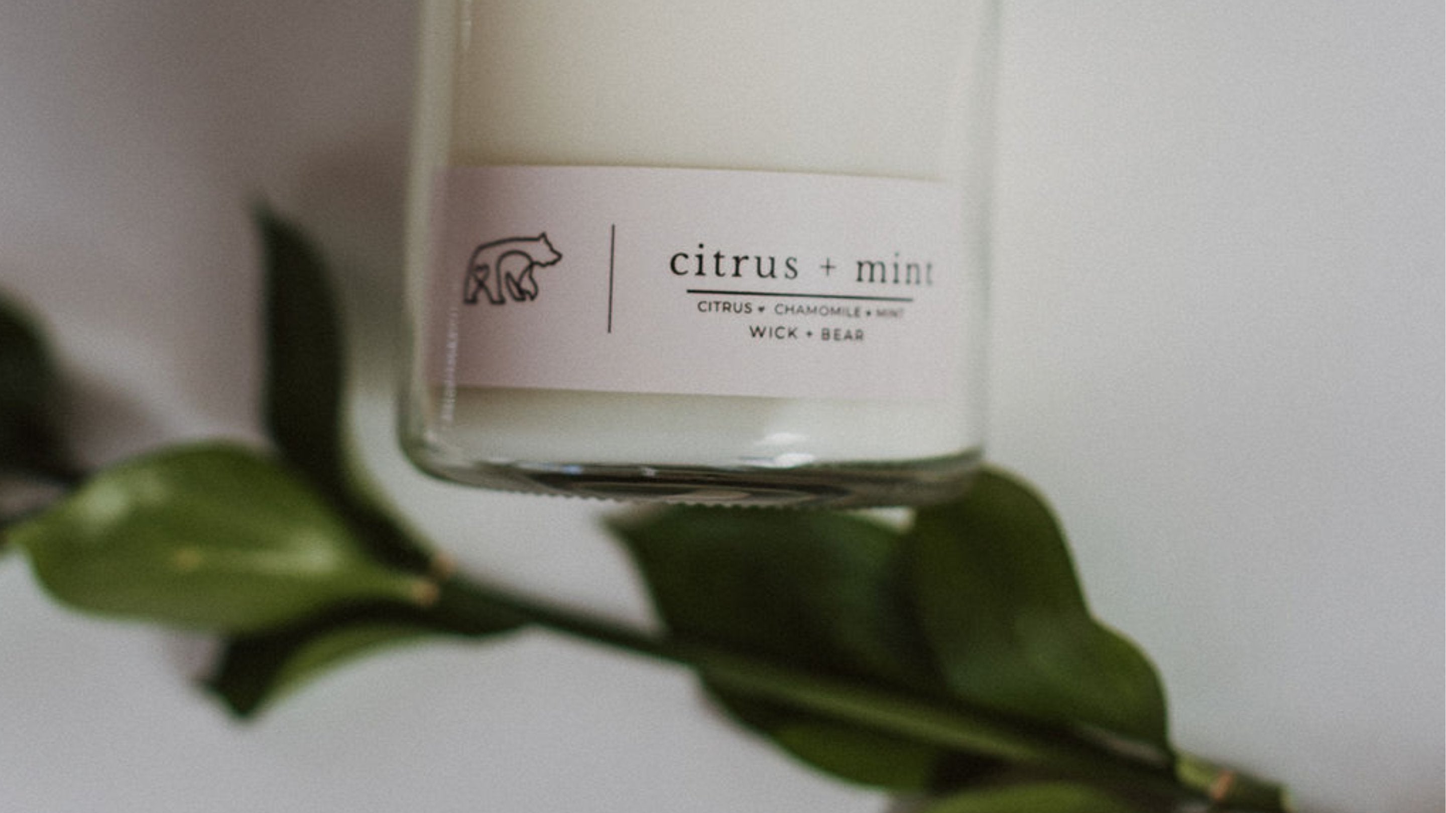 core collection – wick + bear